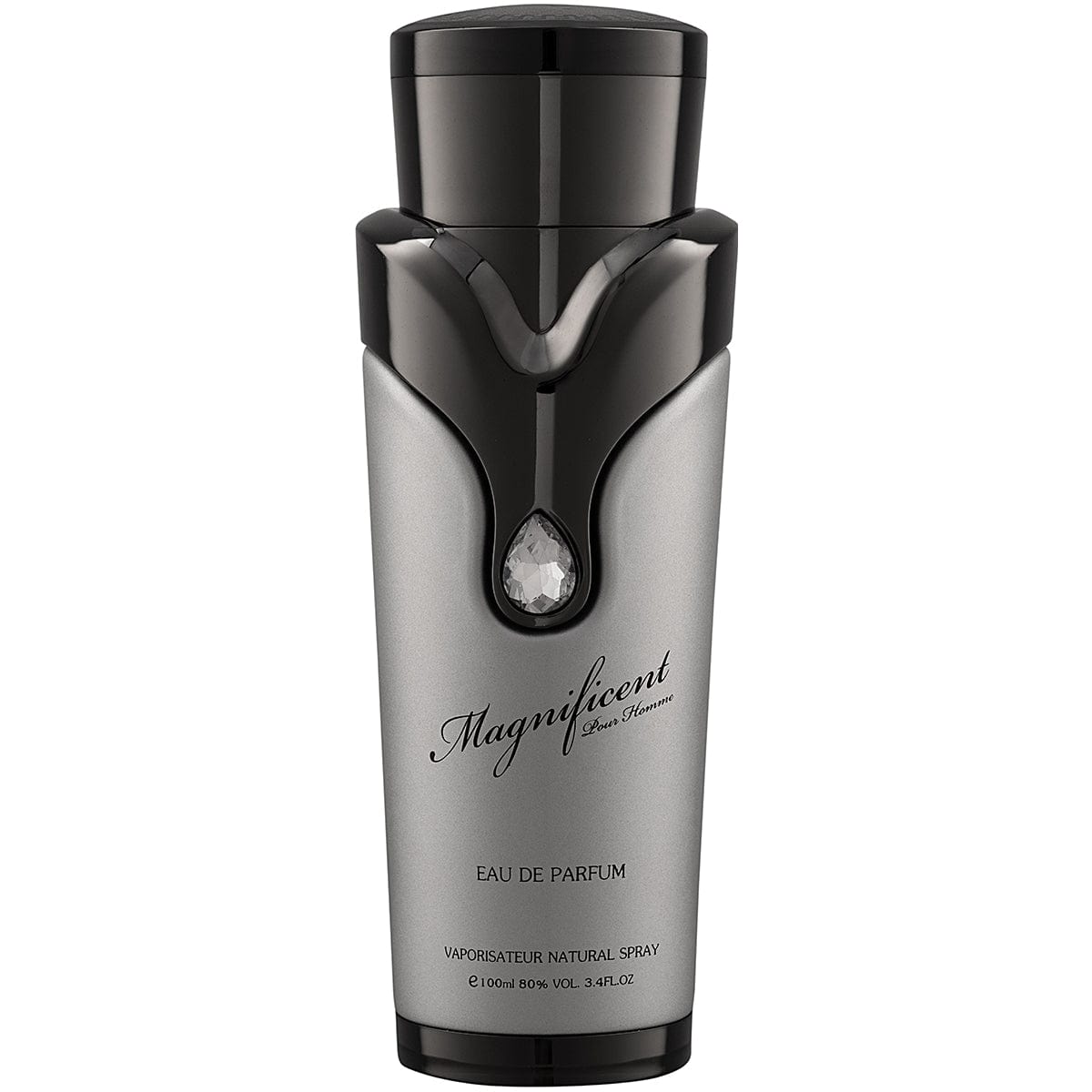 Magnificent pour Homme by Armaf - EDP - 100 ml